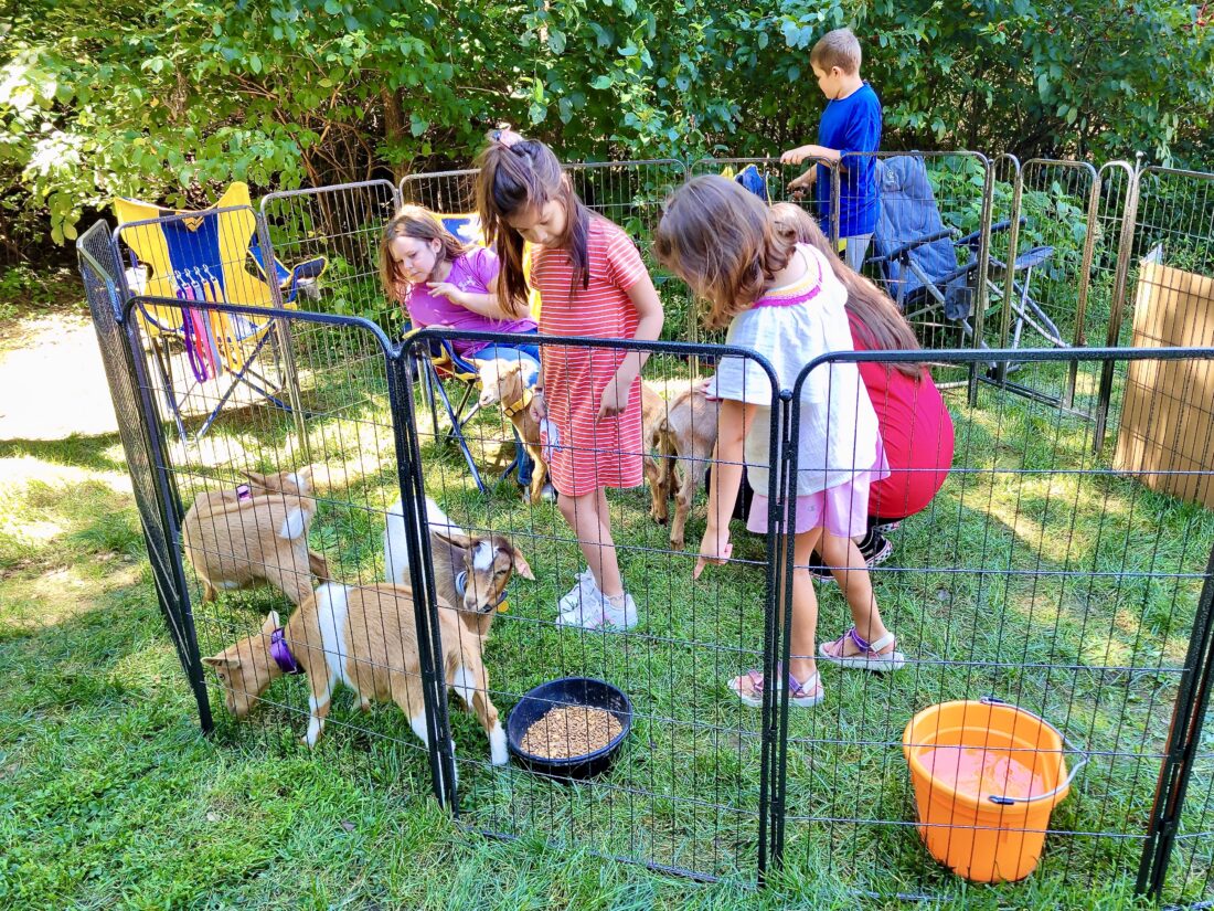 Local farm finding ‘spicy’ way to connect with public | News, Sports ...